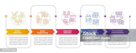 Fermentation Bioprocessing Rectangle Infographic Template Stock Illustration Download Image