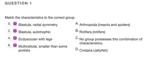 Unit 2 Practice Questions 1307 Flashcards Quizlet