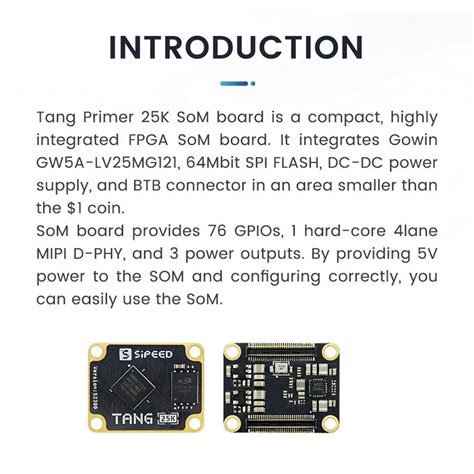 tang primer 25k gw5a riscv fpga development board pmod sdram