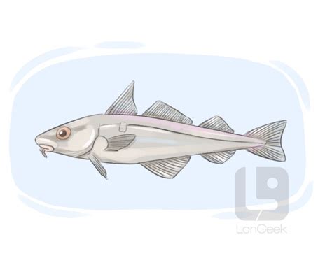 Definition And Meaning Of Haddock Langeek