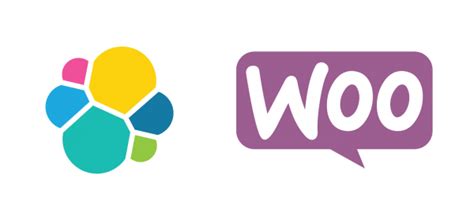Install Configure Elasticsearch To Speed Up WooCommerce Search