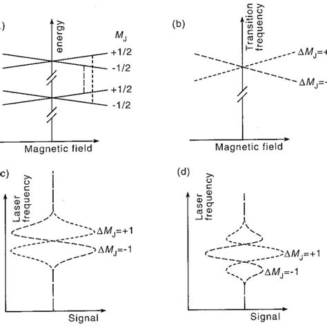 Block Diagram Of A Faraday Modulation Spectrometer The Laser Source