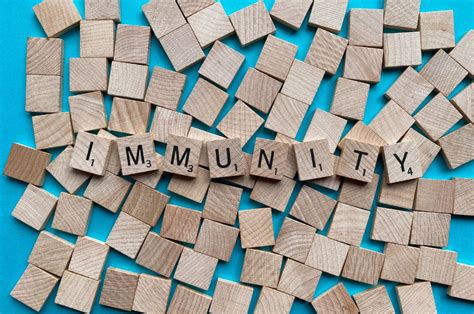 How To Boost Immune System Naturally Keralam Chronicles