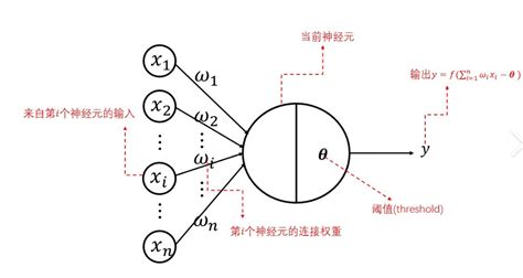 M P神经元模型解析 神经元求解为什么只加一个偏执状态呢 Csdn博客