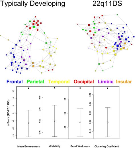 Disrupted Connectivity And Modularity In 22q11ds Graph Models Of Download Scientific Diagram