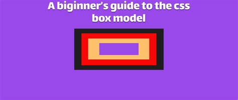 A Beginners Guide To The CSS Box Model DEV Community