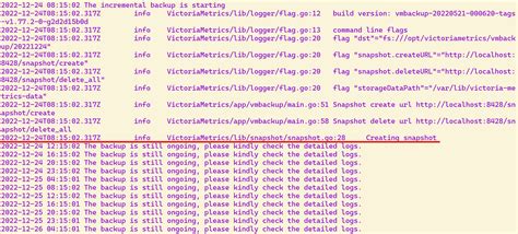 Can Not Create Snapshot And The Whole Backup Hanging May Need To Add A Timeout Protection
