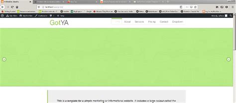 Problem With Javascripts Addition In Wordpress Wordpress Development