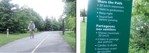Multi Use Path With Guidelines For Users Download Scientific Diagram