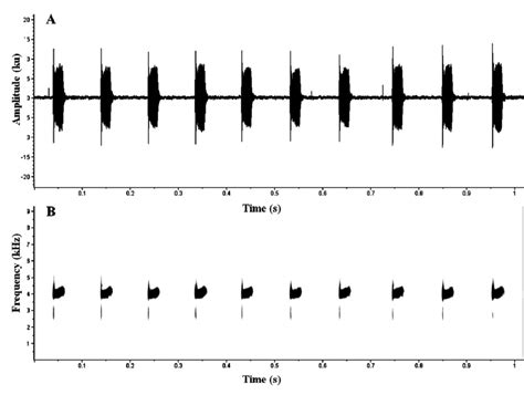 Oscillogram And Audio Spectrogram Of The Advertisement Calls 14 Notes