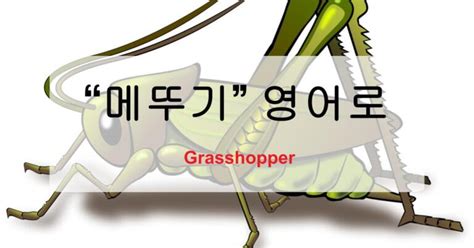 회사원 영어로 And 소방관 영어로 헷갈리는 직업 영어표현 가이드 English