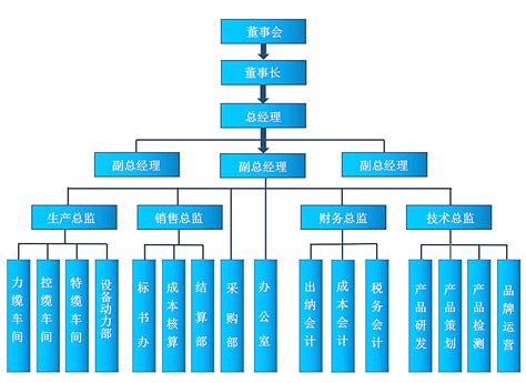 组织架构 安徽国宾光电股份有限公司