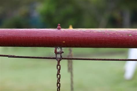 Premium Photo Swing Frame