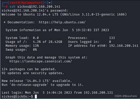 红队打靶：sickos1 1详细打靶思路（vulnhub） csdn博客