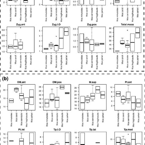Boxplots Showing Intraspecific Variation And Interspecific Differences