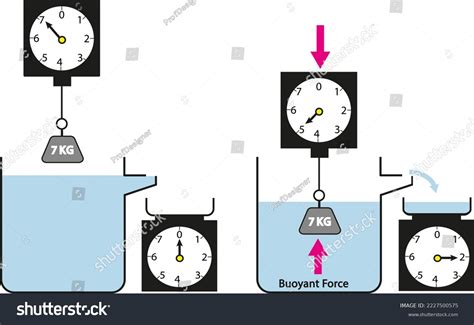 Solids Different Densities Floating Sinking Water Stock Vector Royalty Free
