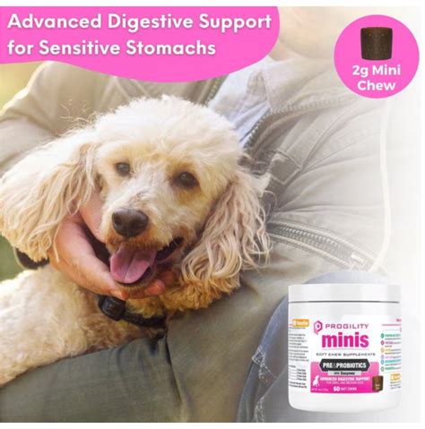 nootie progility mini digestive support small and medium breed chew supp