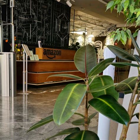 Sibusiso Buthelezi On Linkedin Aws Internship Careerjourney Gratitude