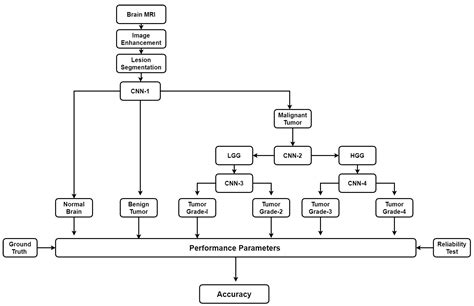 A Review On A Deep Learning Perspective In Brain Cancer Classification