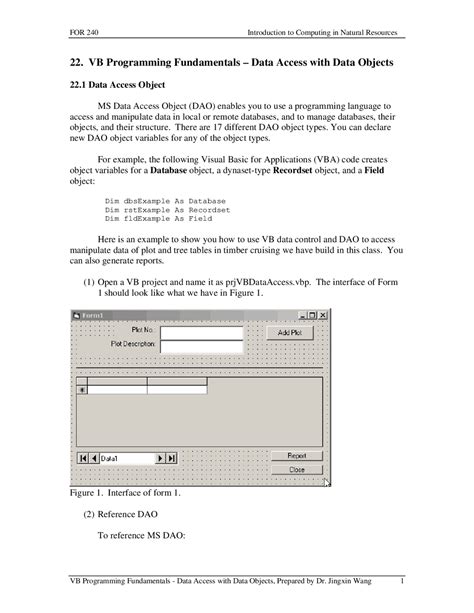 Vb Programming Fundamentals Data Access With Data Object For 240