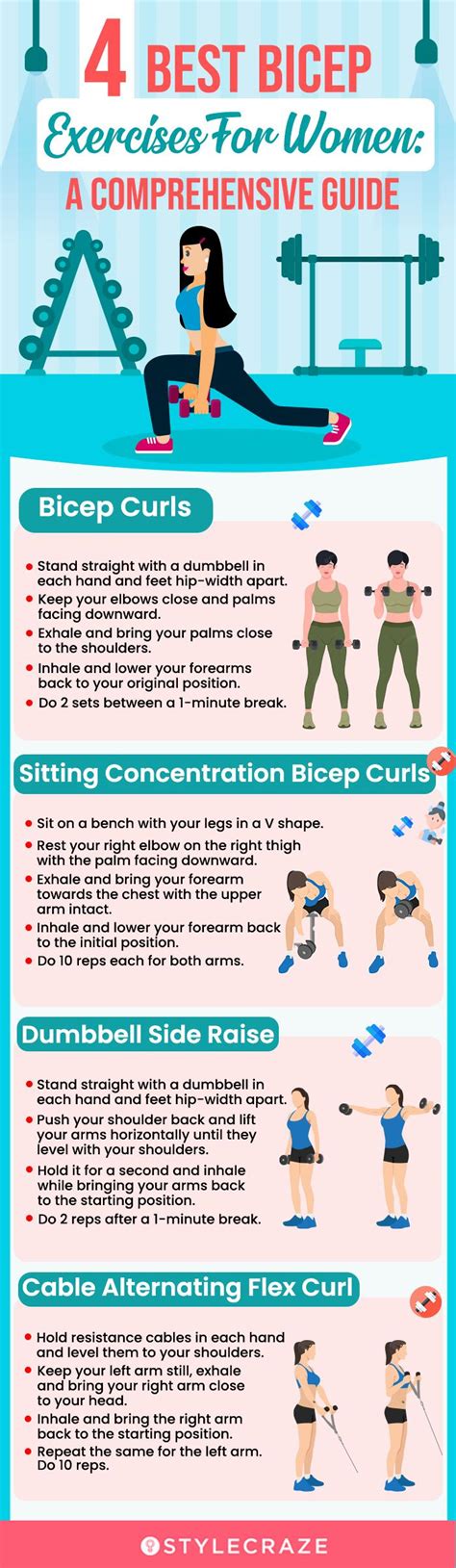 Bicep Exercise Chart For Men