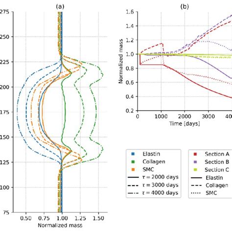 The Axial Distribution Of Cumulative Wall Constituent Masses Through Download Scientific