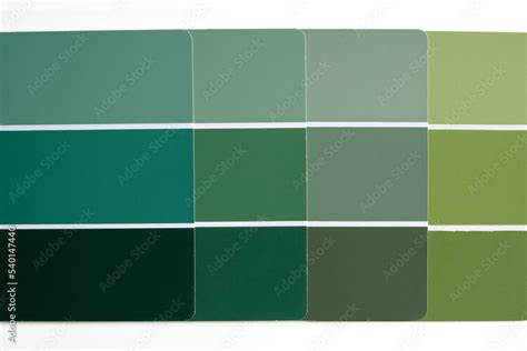 Color Swatches In Shades Of Green Generic Color Sample Swatches In