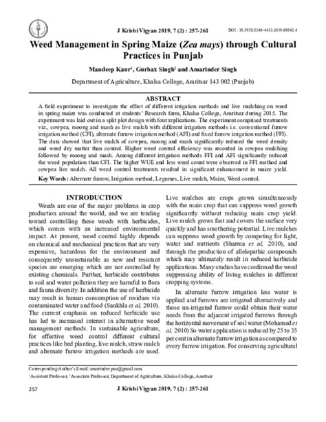 Pdf Weed Management In Spring Maize Zea Mays Through Cultural Practices In Punjab