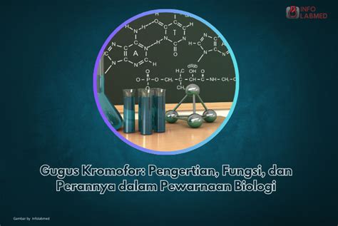 Gugus Kromofor Pengertian Fungsi Dan Perannya Dalam Pewarnaan Biologi