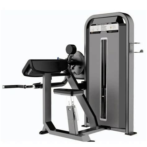 Preacher Curl Machine For Gym At ₹ 30000 Piece In Meerut Id