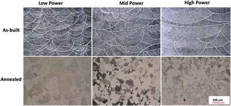 optical micrographs of as‐built top row and annealed bottom row