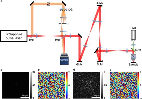 Experimental Schematic Of Laser Scanning Reflection Matrix Microscopy A