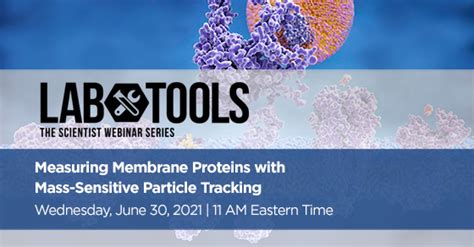 Measuring Membrane Proteins With Mass Sensitive Particle Tracking