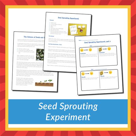 Seed Sprouting Experiment T Of Curiosity