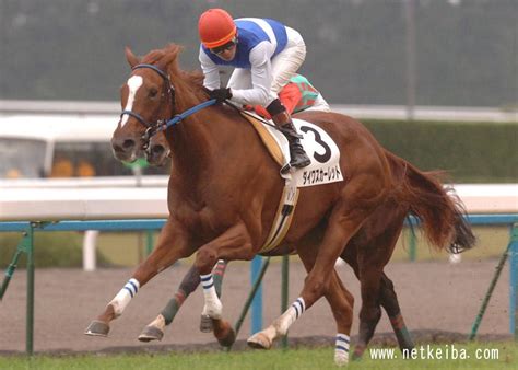 Daiwa Scarlet Race Record And Form Horse Profile Netkeiba