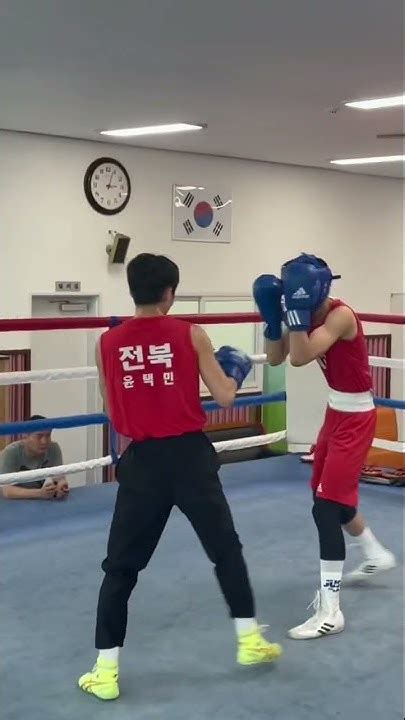 복싱 사우스포 Youtube