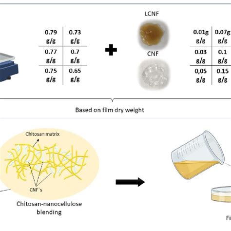 explanatory diagram of the film formulation and film formation process