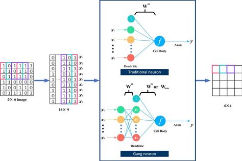 Convolution Layer Using Gang Neuron Or Traditional Neuron Download Scientific Diagram Convolution Layer Using Gang Neuron Or Traditional Neuron Download Scientific Diagram