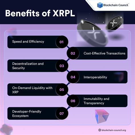 Xrp Ledger Xrpl