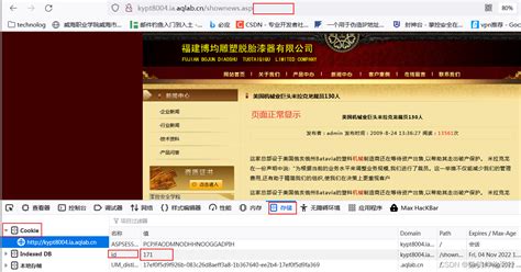 sql注入绕过waf access注入绕过waf 微笑伴你而行的博客 csdn博客