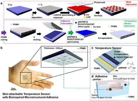 Figure 1 From Fabrication Of High Sensitivity Skin Attachable Temperature Sensors With