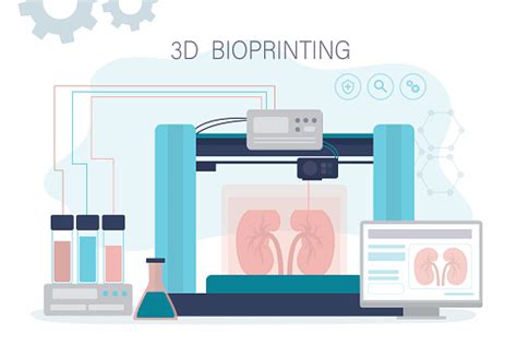 3d 바이오프린터 프린팅 신장 인간 장기 복제 조직 뼈 및 내부 장기의 바이오프린팅 개념 바이오프린터 새로운 장기 이식 기술 3차원 인쇄에 대한 스톡 벡터 아트 및 기타