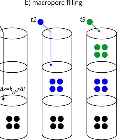 Conceptual Visualization Of A The Structure Of A Single Macropore Conceptual Visualization Of A The Structure Of A Single Macropore