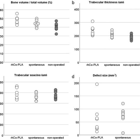 Results Of The X Ray Micro Computed Tomography µct Showing A Bone Download Scientific