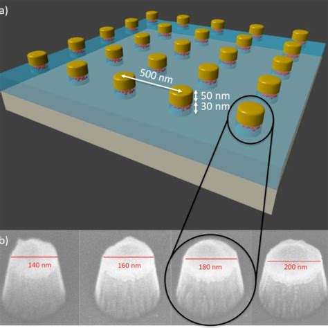 a schematic of the sample b sem micrograph showing single sio2