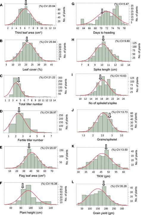 Distribution Histogram Of A Third Leaf Area B Leaf Cover C Total