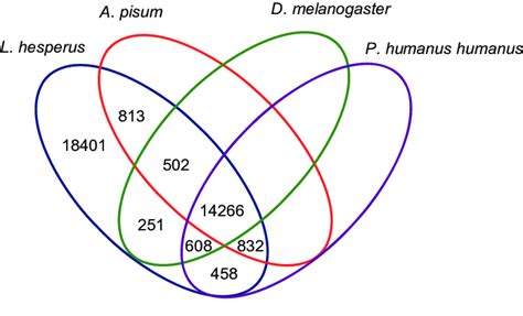 Comparative Summary Of L Hesperus Isotig Sequences With Protein