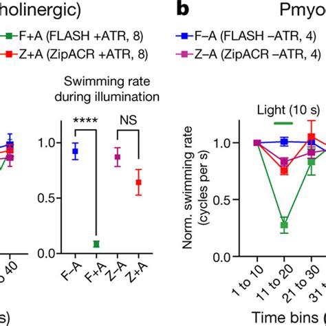 Optogenetic Application Physiology And Behaviour In C Elegans A Download Scientific