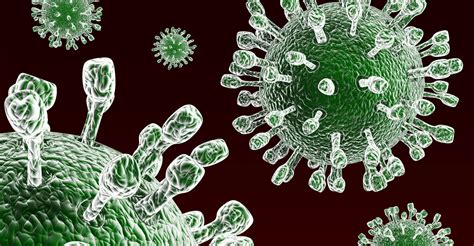 Le Sexe Des B B S Serait D Termin Par Un Virus