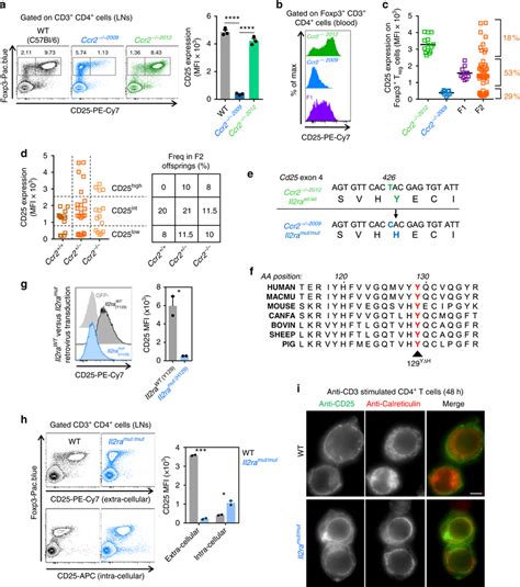 Isolation And Characterization Of The Il2ramut Mut Mouse Model A Lymph Download Scientific